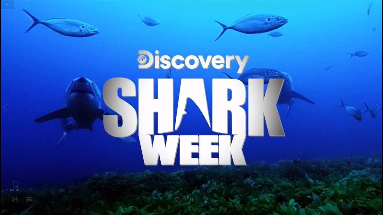 2019 Commercials Vol. 89 (Discovery - July 26) - YouTube