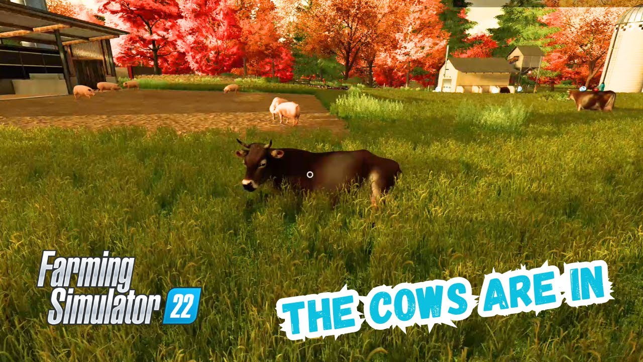 Attingham Park #40 The Cows Are In - Farming Simulator 22 XBOX - YouTube