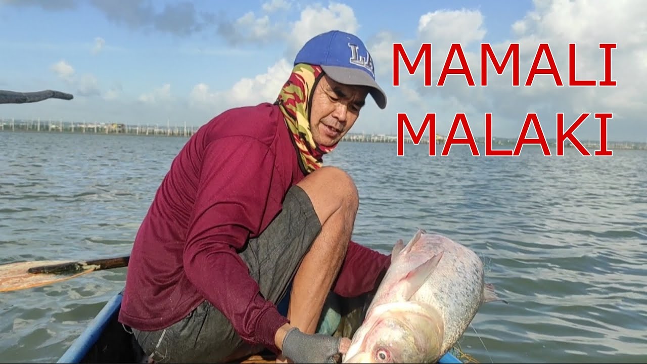 NAKAHULI NG MALAKING MAMALI AT MARAMING TILAPYA SA LAWA NG LAGUNA LAKE GAMIT ANG PANTI NA TRES ...