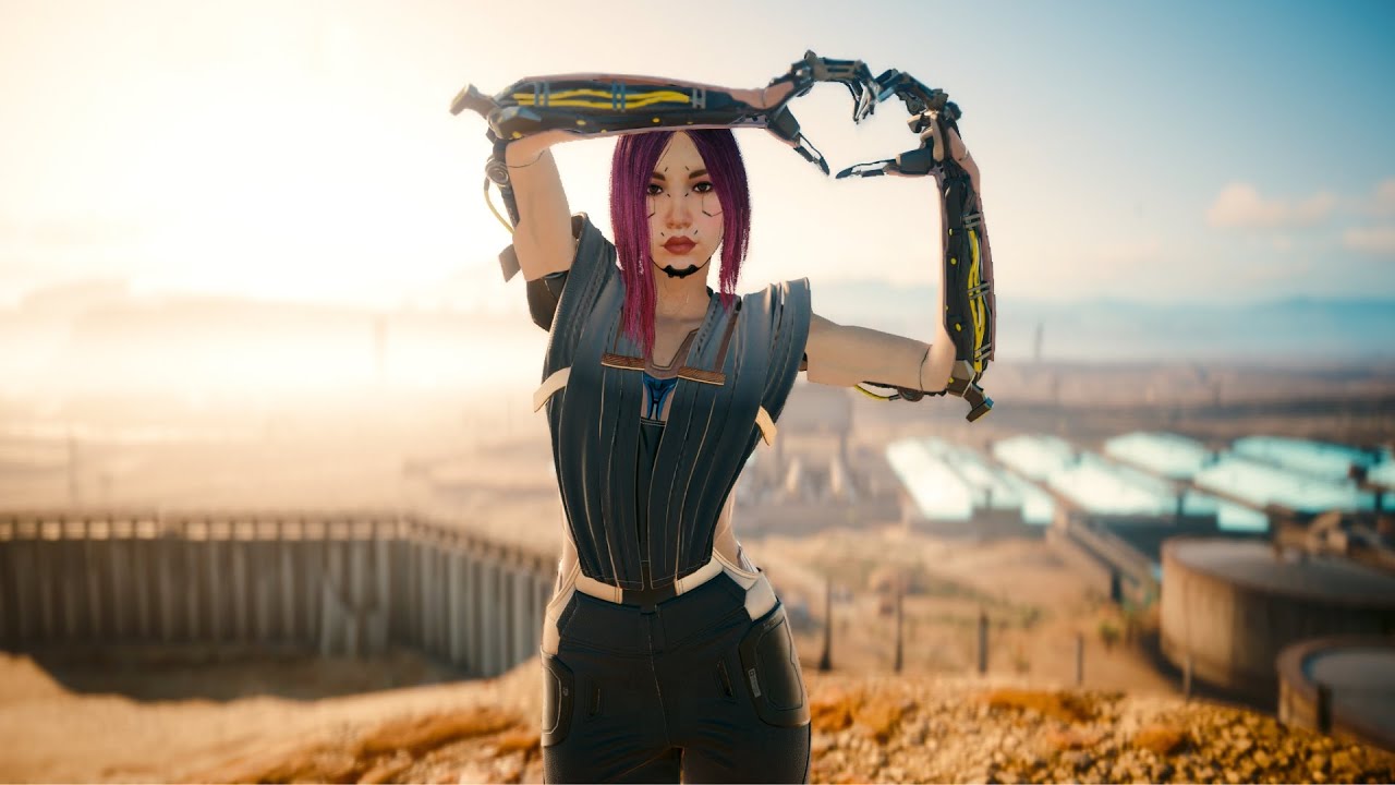 What Happens to Songbird During the Plane Crash – Cyberpunk Phantom ...