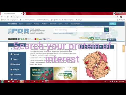 How to download a protein structure from protein data bank(pdb) - YouTube