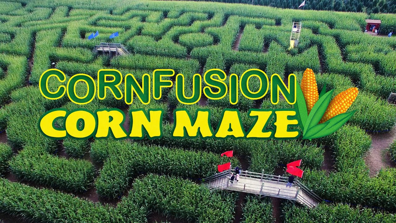 Cornfusion - Official Website Video (2022) - YouTube