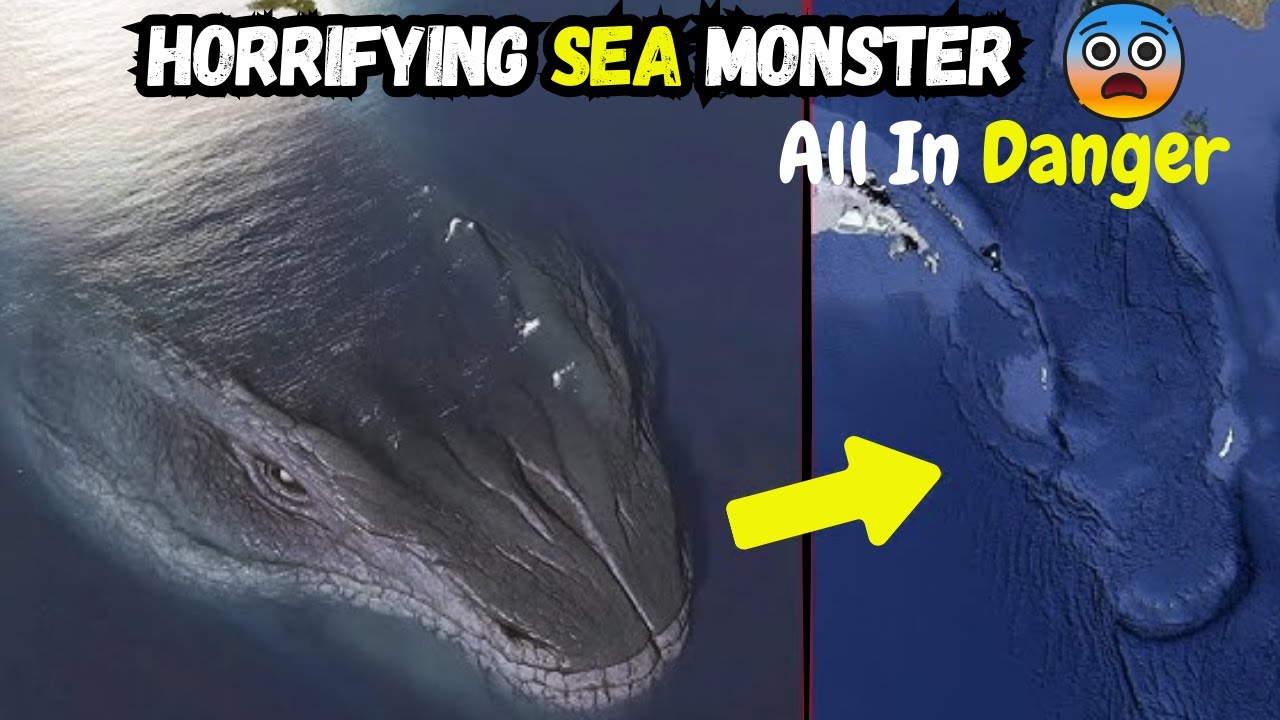 LEGENDARY Leviathan DISCOVERED - Most Horrifying Sea Monster! - YouTube