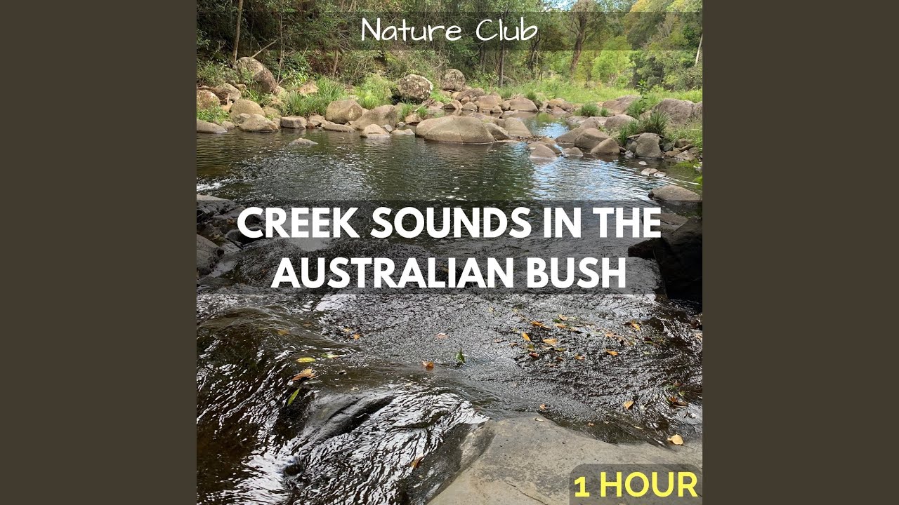 Creek Sounds in the Australian Bush: One Hour - YouTube