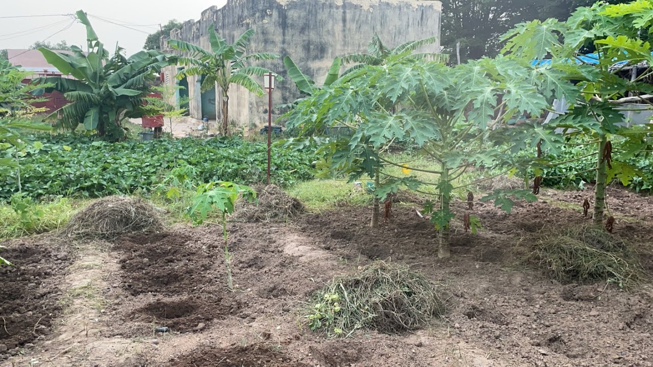 Partie 3 de Comment changer 1.000f en 10.000f, 100.000f ou même 1.000 ...