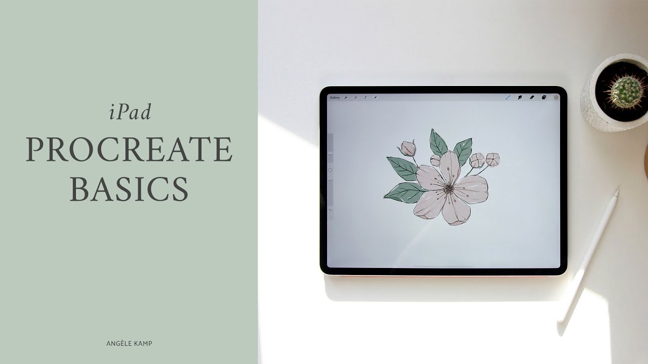 iPad Procreate Basics for Beginners - YouTube