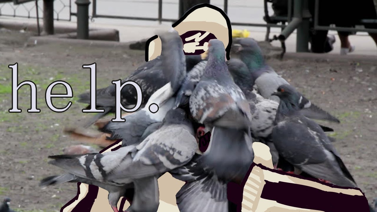 explaining why pigeons should explode while minecraft death time - YouTube