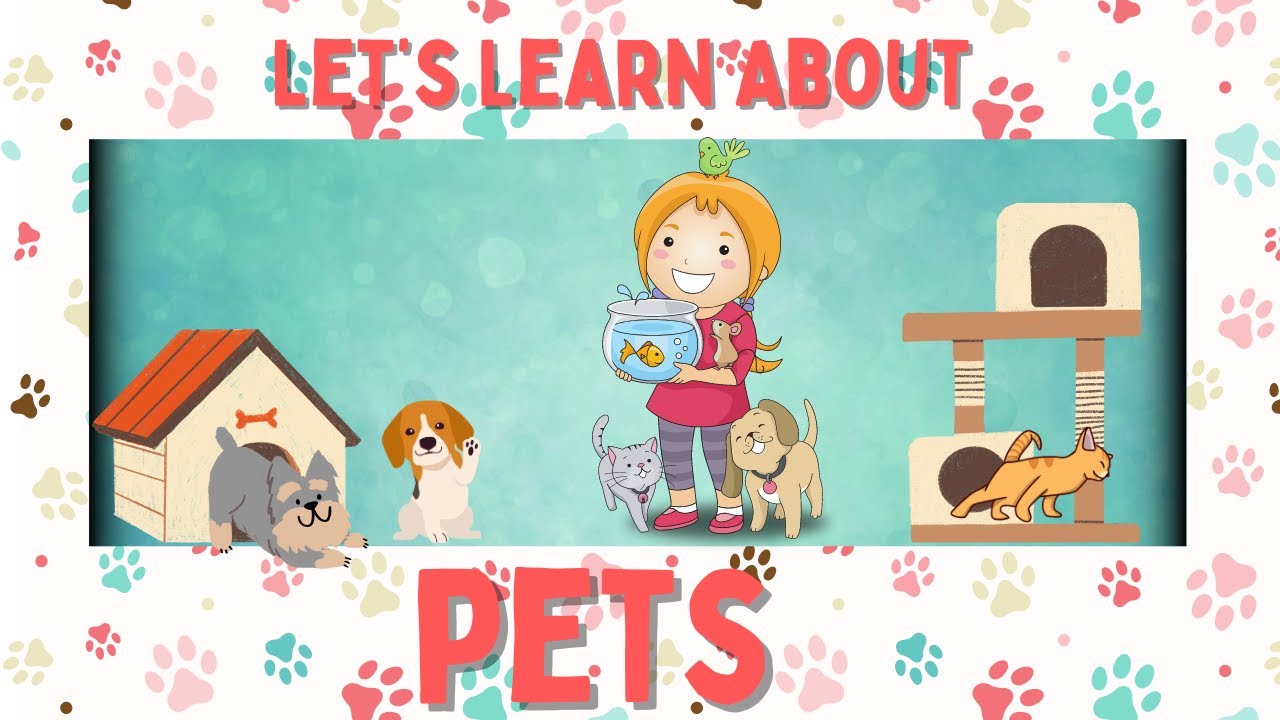 Preschool Fun with Miss Annette: Exploring Pets and Counting Activities ...