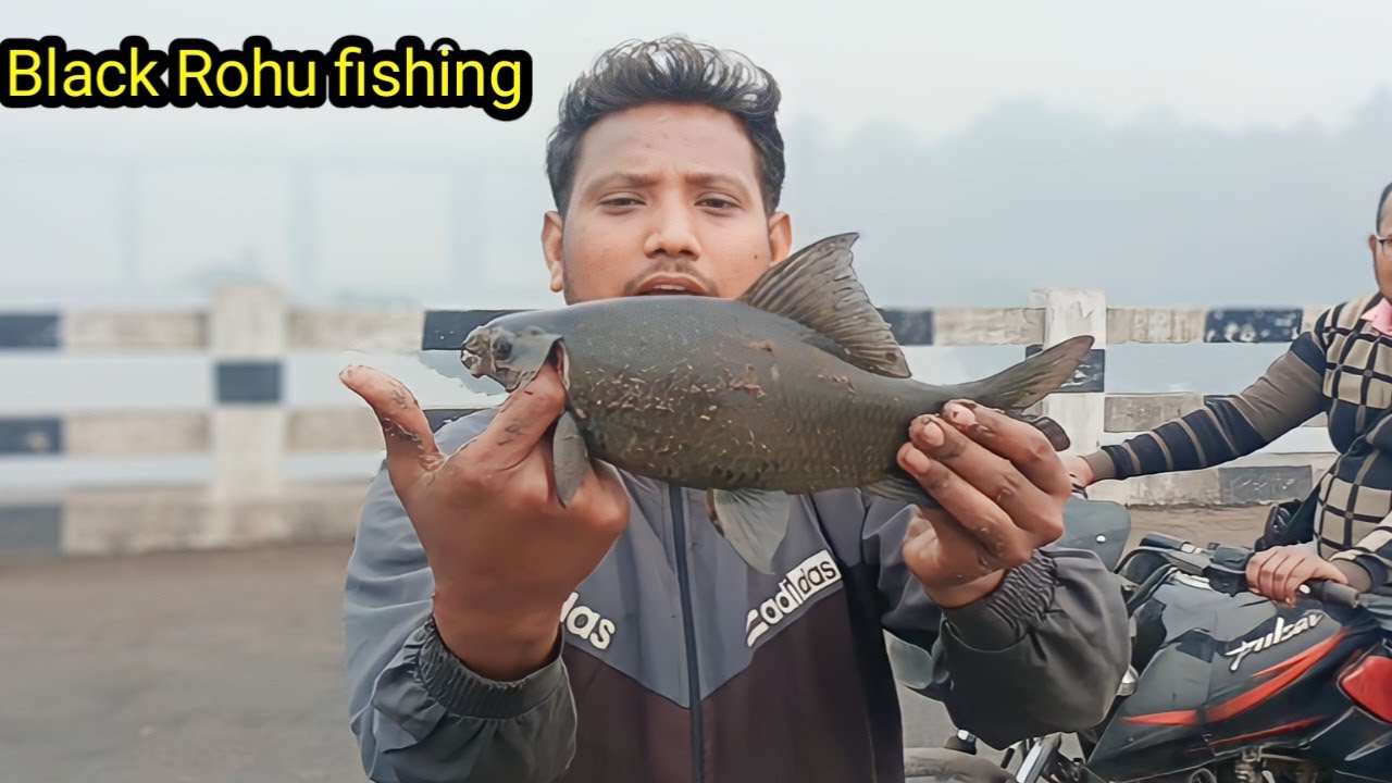 Black Rohu fishing video Talbagush fish video Triple Hook ka shikar ...