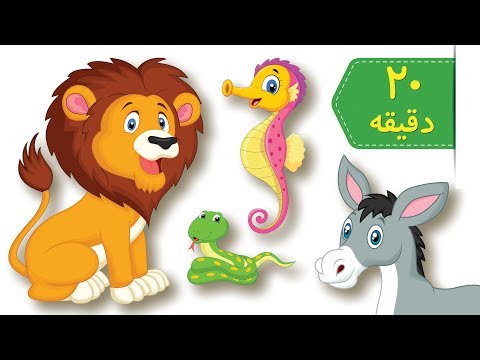 🐯 Animals in Persian | حیوانات اهلی، وحشی و دریایی #persian #farsi #animals