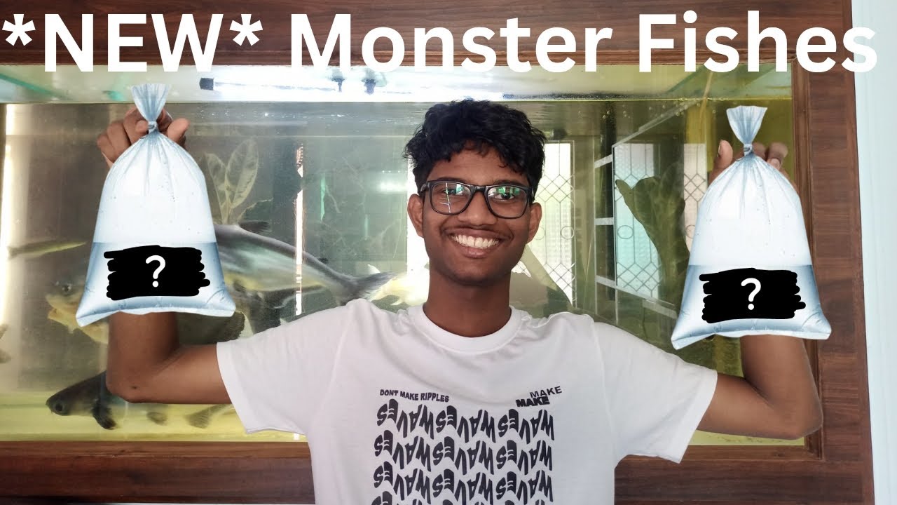 Buying *NEW* Baby Monster Fishes for my Aquarium - YouTube