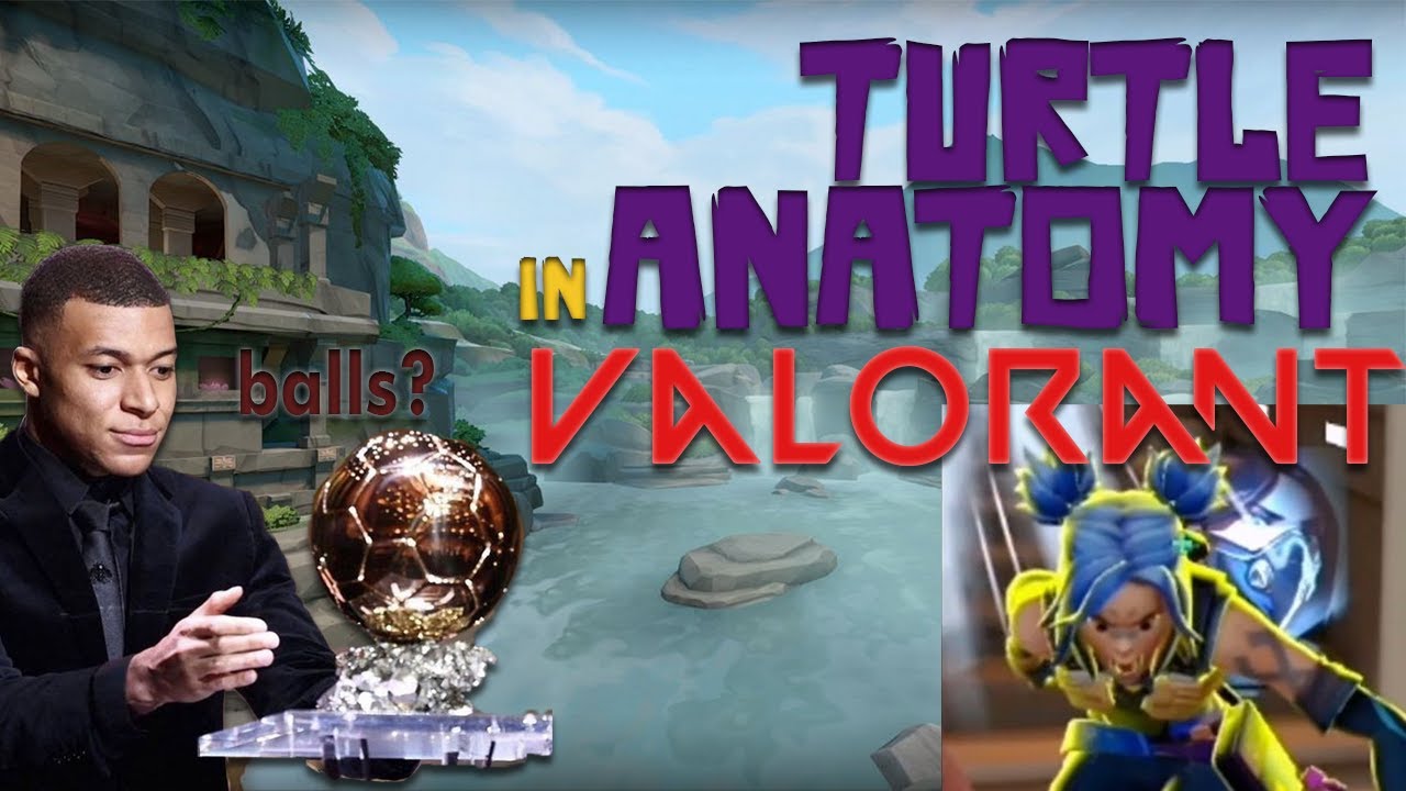 Learning Turtle anatomy in Valorant... 🐢💥 - YouTube