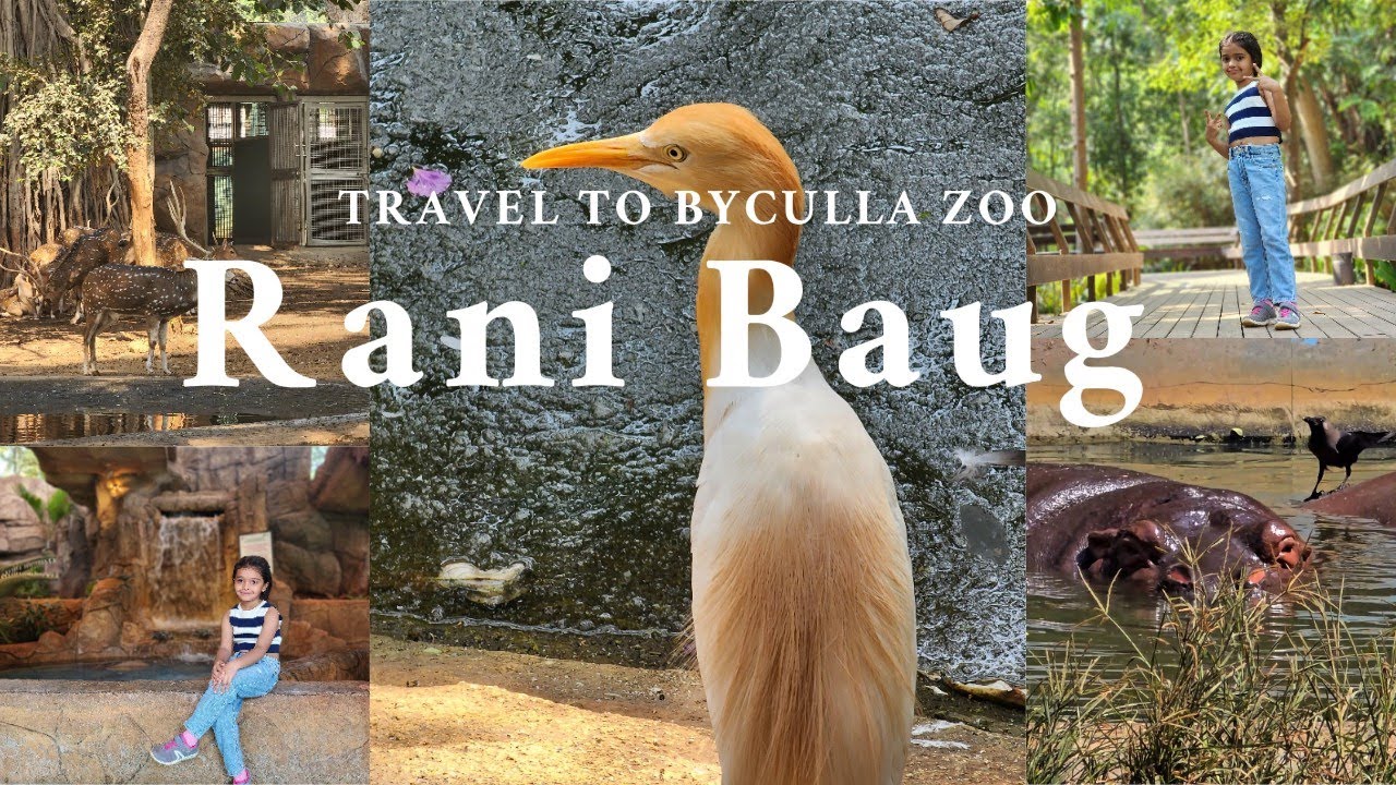 Mumbai byculla Zoo Tour | Rani Baug Zoo Mumbai: Animals, Attractions ...