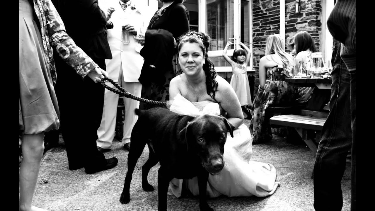 Phil And Kate Wedding Kate + Phil | Bush Bank Wedding — Wedding