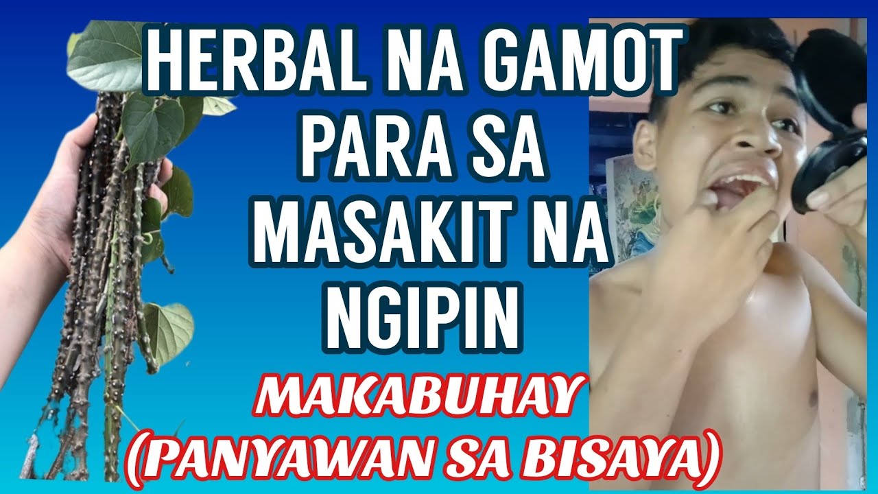 GAMOT SA MASAKIT NA NGIPIN | MAY BUTAS ANG NGIPIN | MAKABUHAY/PANYAWAN ...