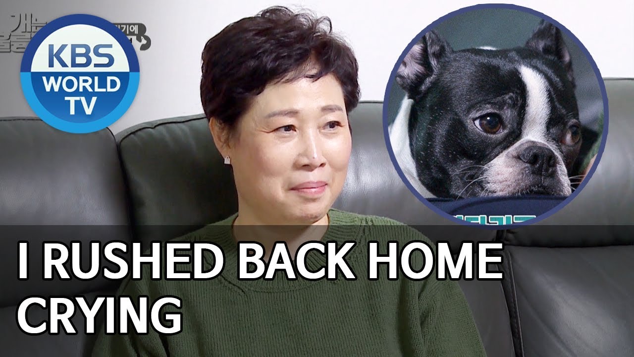 I rushed back home crying [Dogs are incredible/ENG/2020.03.03] - YouTube