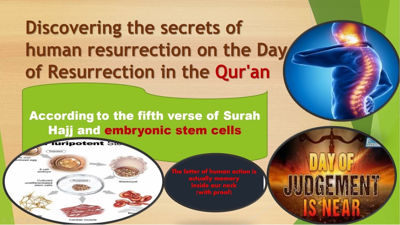 Discovering the secret of human resurrection in the Quran through stem ...