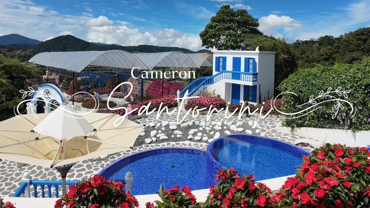 Cameron Santorini tempat terbaru di Brinchang TARIKAN TERBARU DI ...