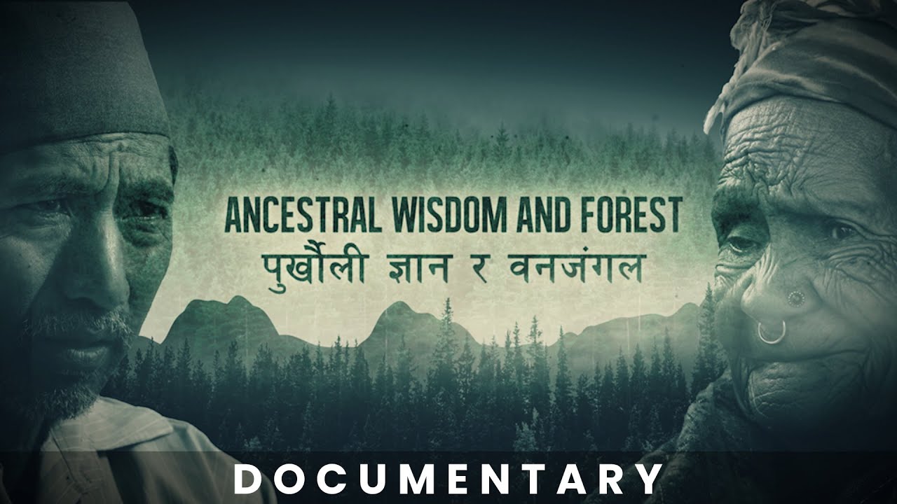 Ancestral Wisdom and Forest | पुर्खौली ज्ञान र वनजंगल | Documentary ...