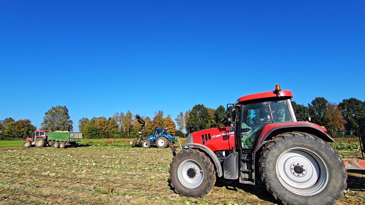 International IH Case 175 CVX mit Stalldungstreuer streut Krautreste aus!| Schlüter & New ...