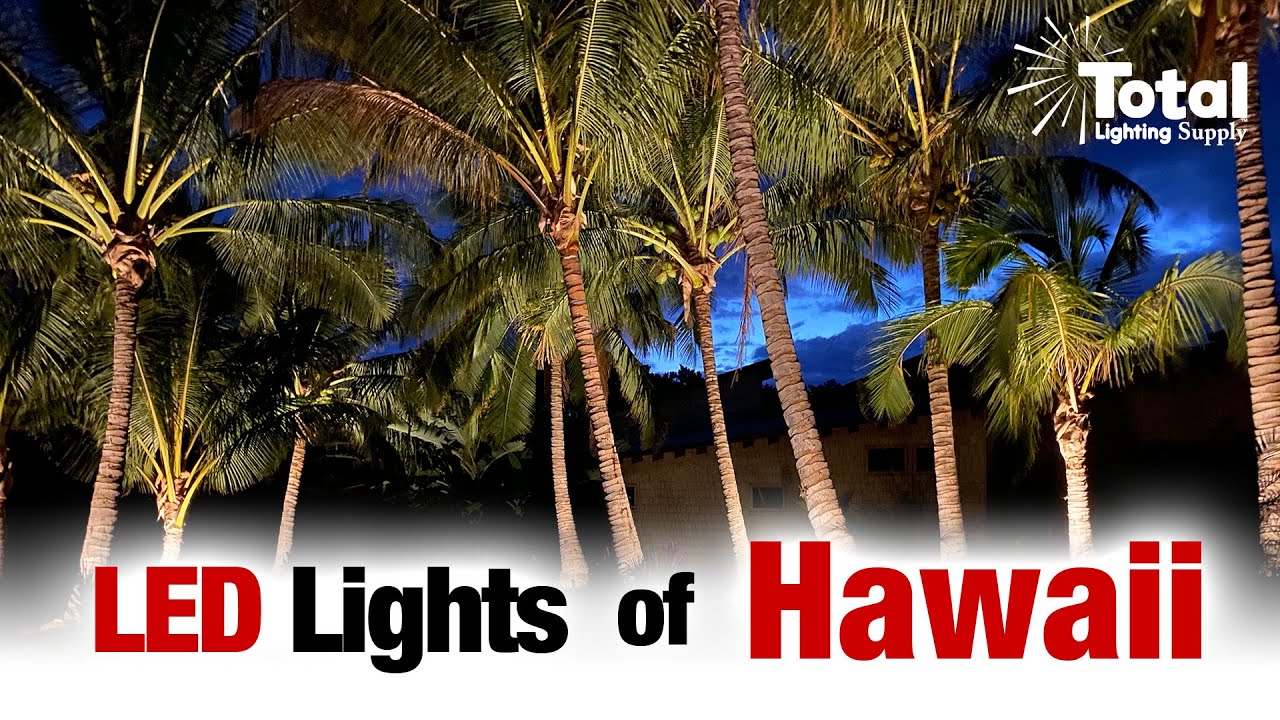 Beautiful Hawaiian Outdoor LED Low Voltage Landscape Lighting Project ...