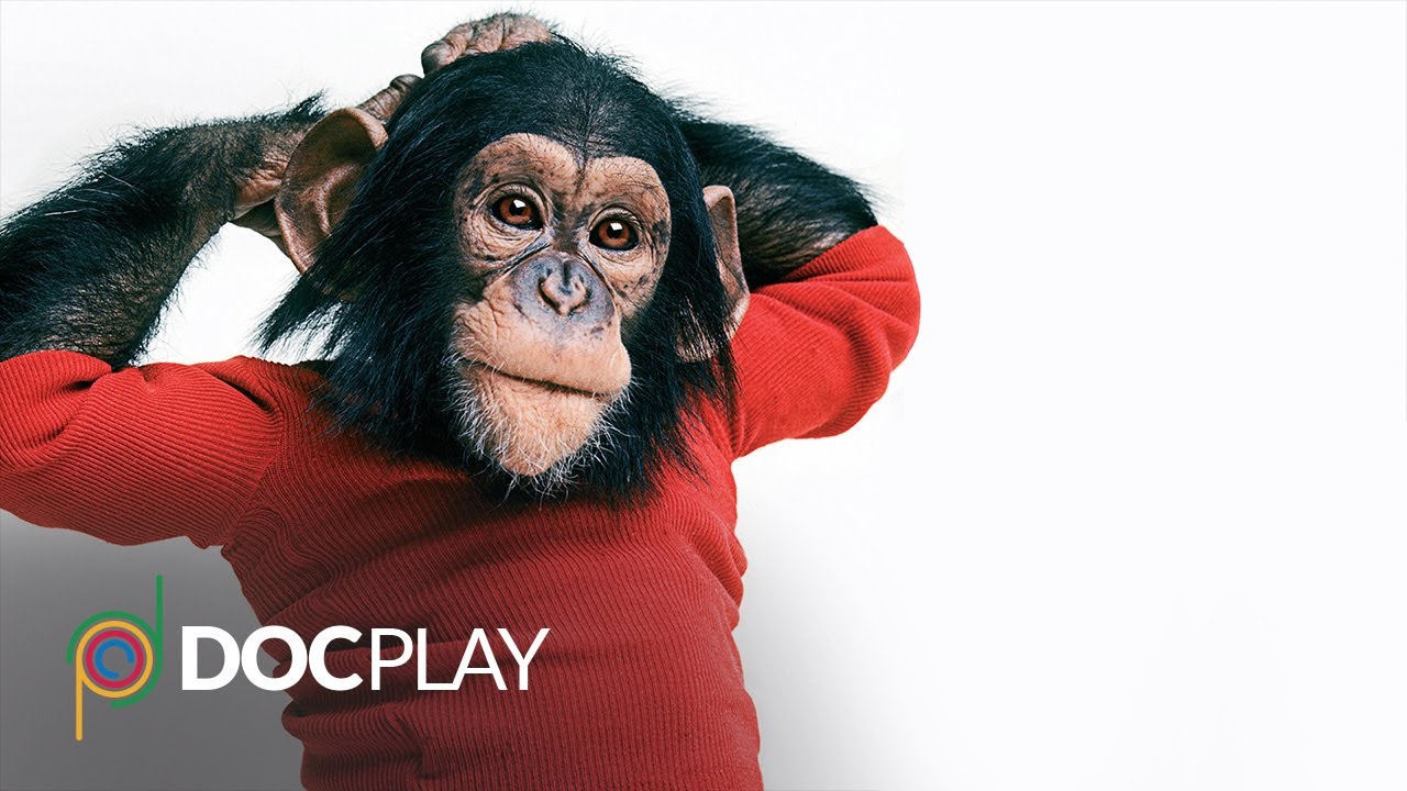 Project Nim | Official Trailer | DocPlay - YouTube