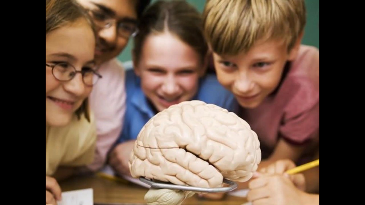 Brain Under Construction Building Pathways to Resilient Futures - YouTube
