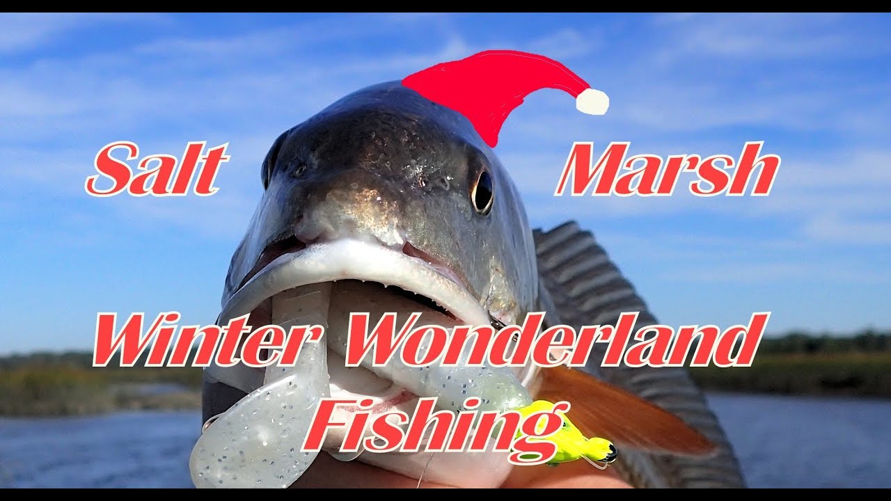 Salt Marsh Winter Wonderland Fishing - YouTube