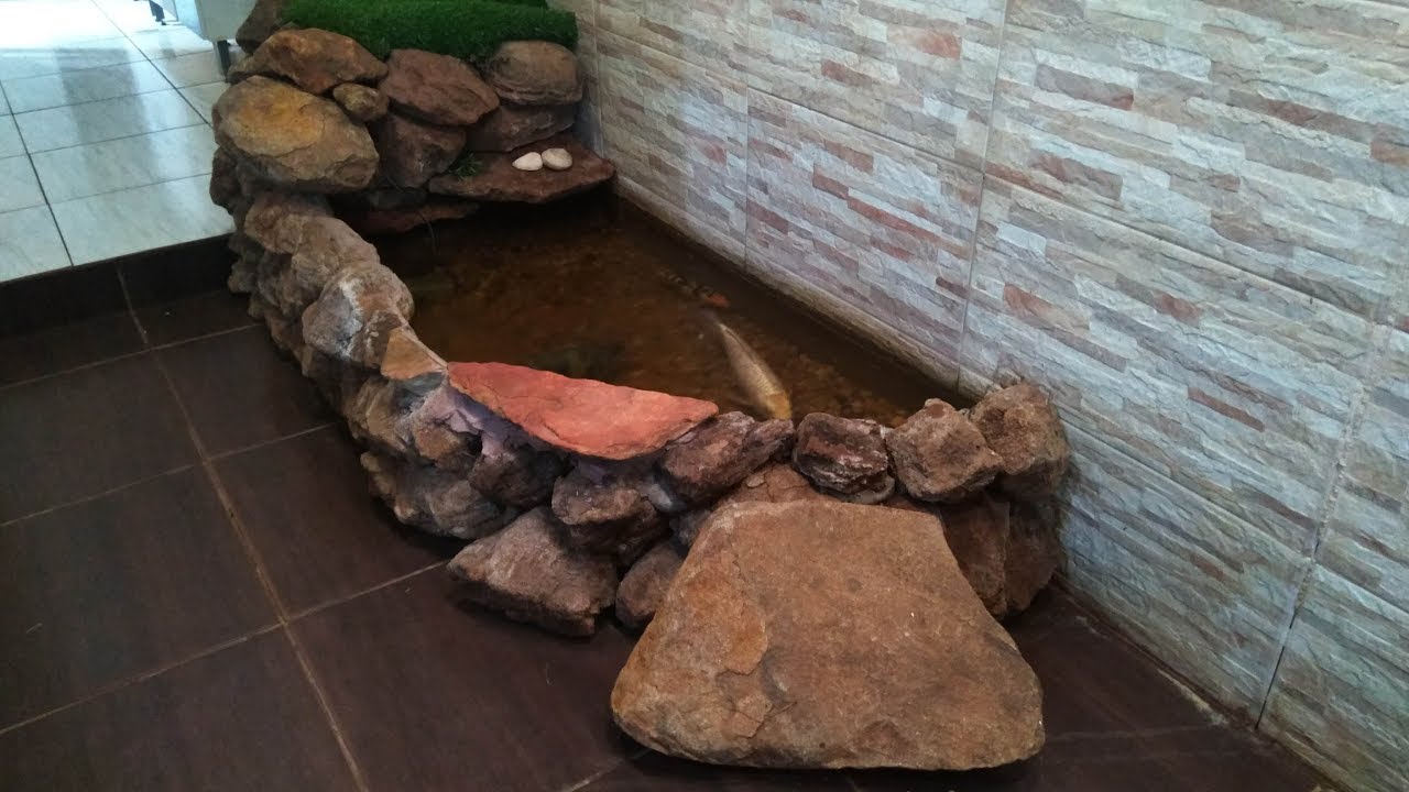 MINI LAGO DE PEIXES DENTRO DE CASA - YouTube
