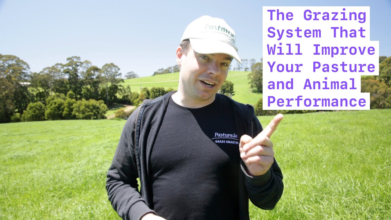 The Grazing System That Will Improve Your Pasture and Animal Production ...