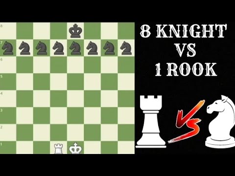 || 8 KNIGHT VS 1 ROOK || FAIRY CHESS || #chess #fairychess || - YouTube