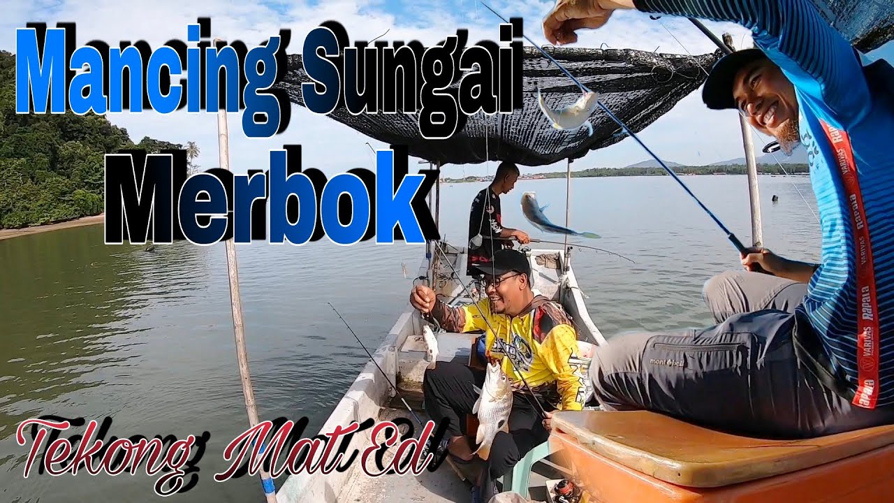Mancing Sungai Merbok Gasak GT & Jenahak Bersama Tekong Mad Ed Layan ...