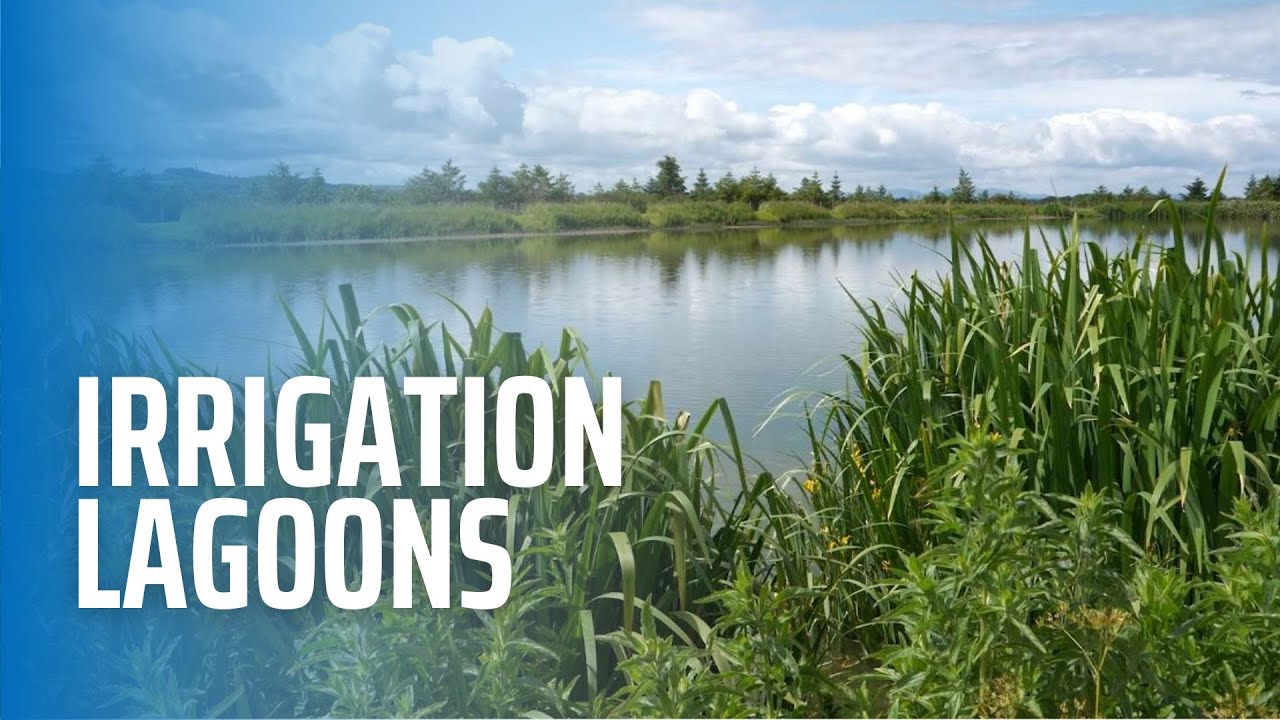 Managing Natural Resources: Irrigation Lagoons - YouTube