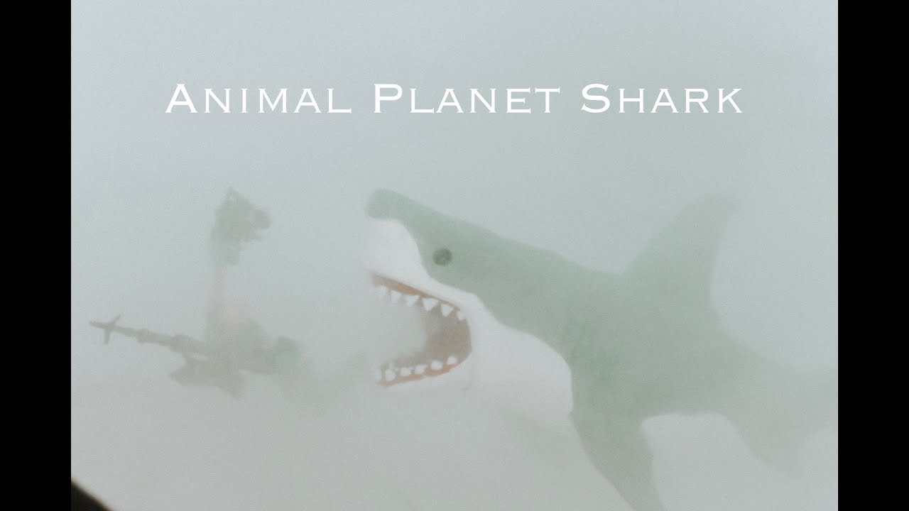 ANIMAL PLANET MEGA SHARK - YouTube
