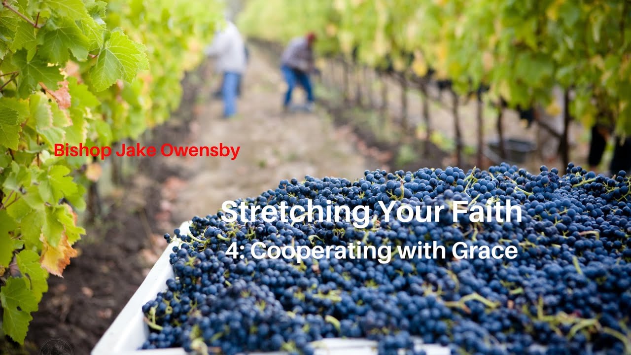 Stretching Your Faith (4): Cooperating with Grace - YouTube