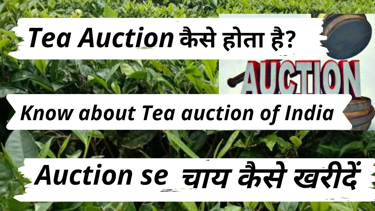Tea Auction Process: part 2. || Tea business|| Guwahati Tea Auction ...
