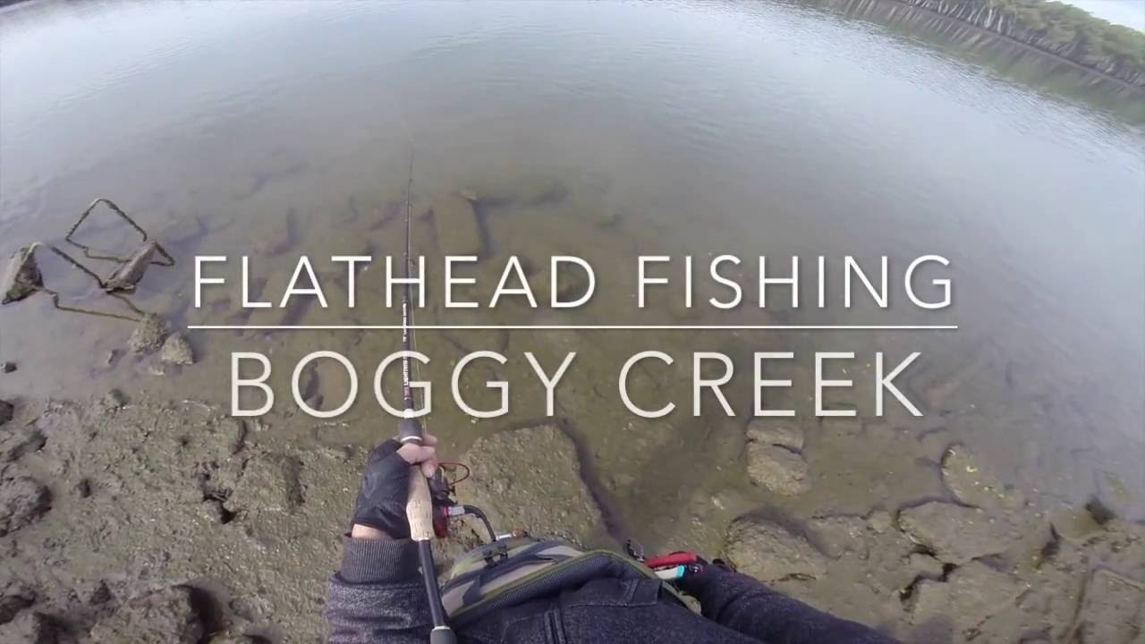 Flathead Fishing Boggy Creek On Dragon Kayaks - YouTube