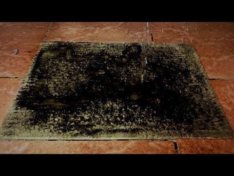 Nasty Carpet Cleaning | Cleaning an extremely dirty rug at home | How ...