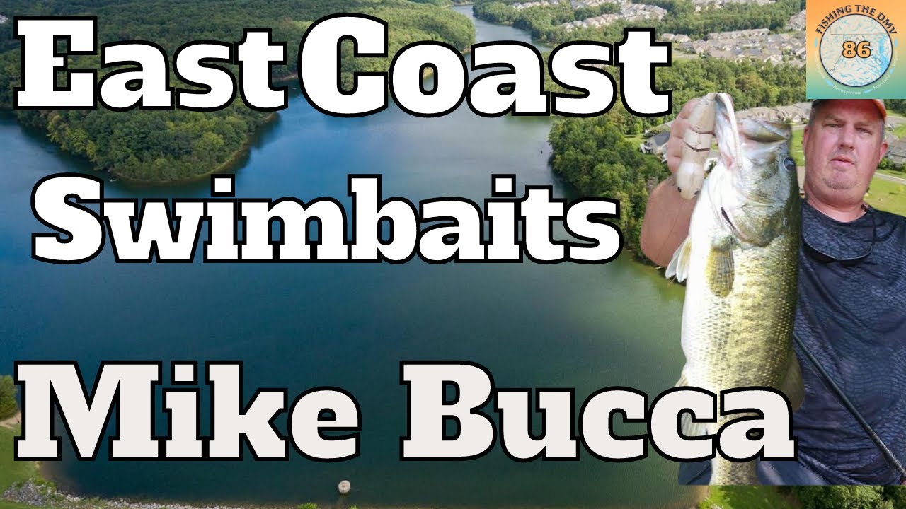 Bull Shad Swimbait with Mike Bucca: how a Man from Maryland became ...