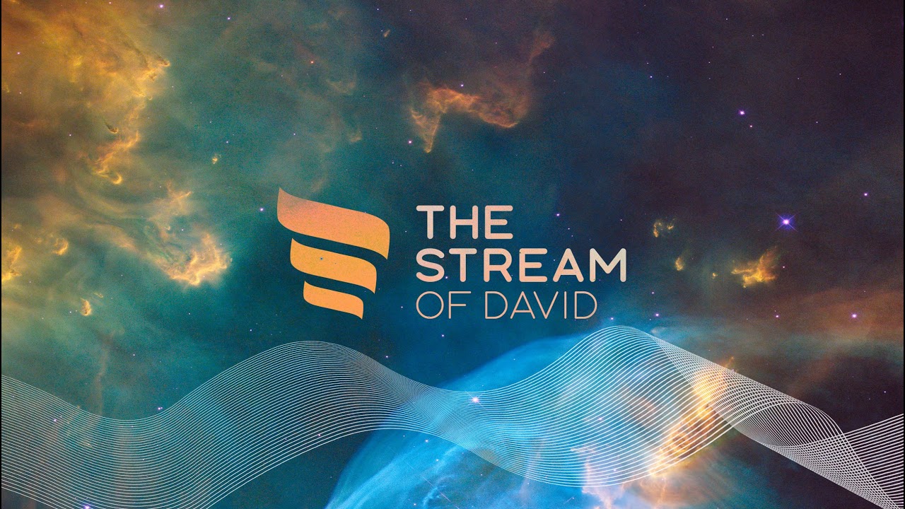 The Stream of David Live Stream - YouTube