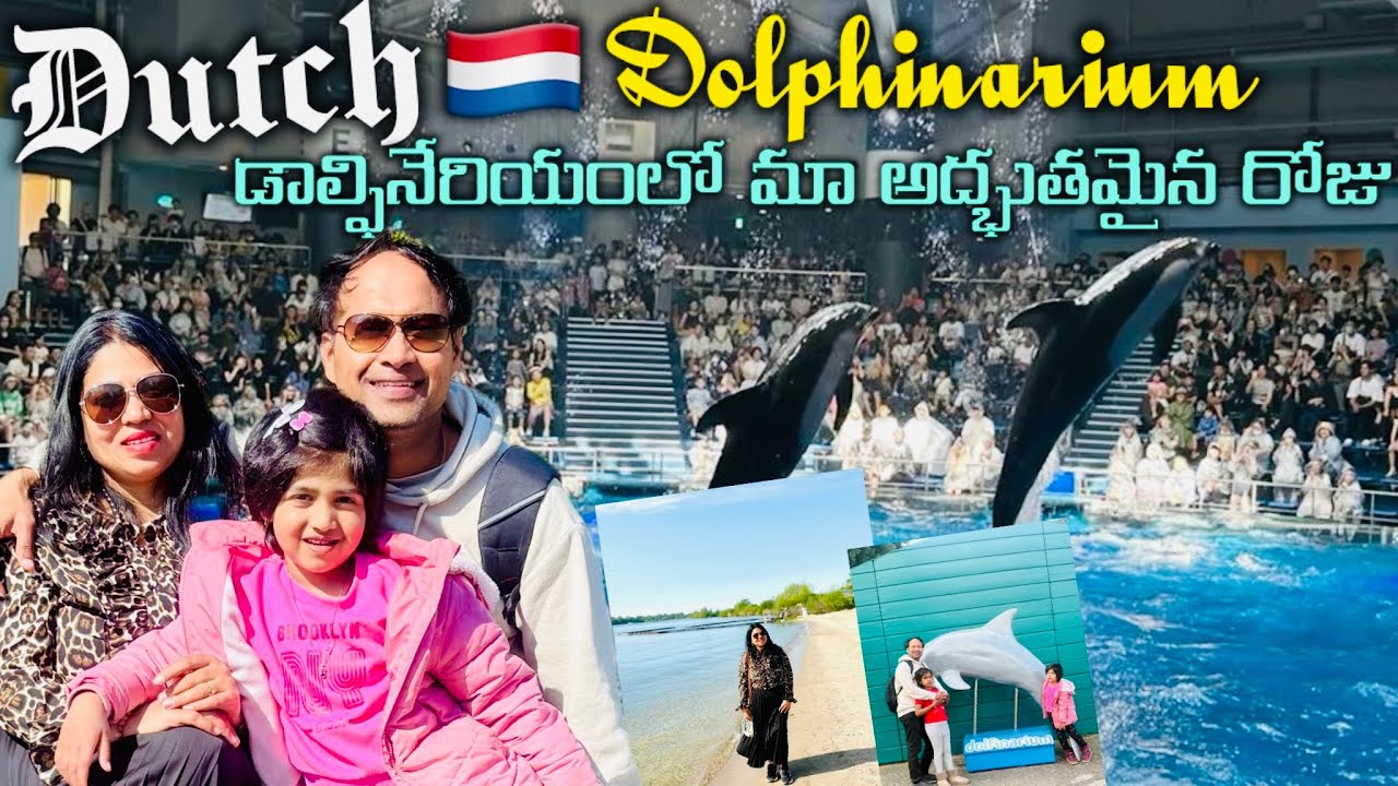 Dutch డాల్ఫినేరియంలో మా అద్భుతమైన రోజు 🌊 | Dolphin Magic in the ...