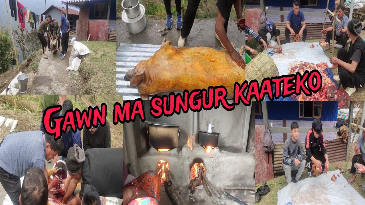 Ragaroong ma Sungur kateko Hernu gayew😁/Village life/Ramailo😍# ...