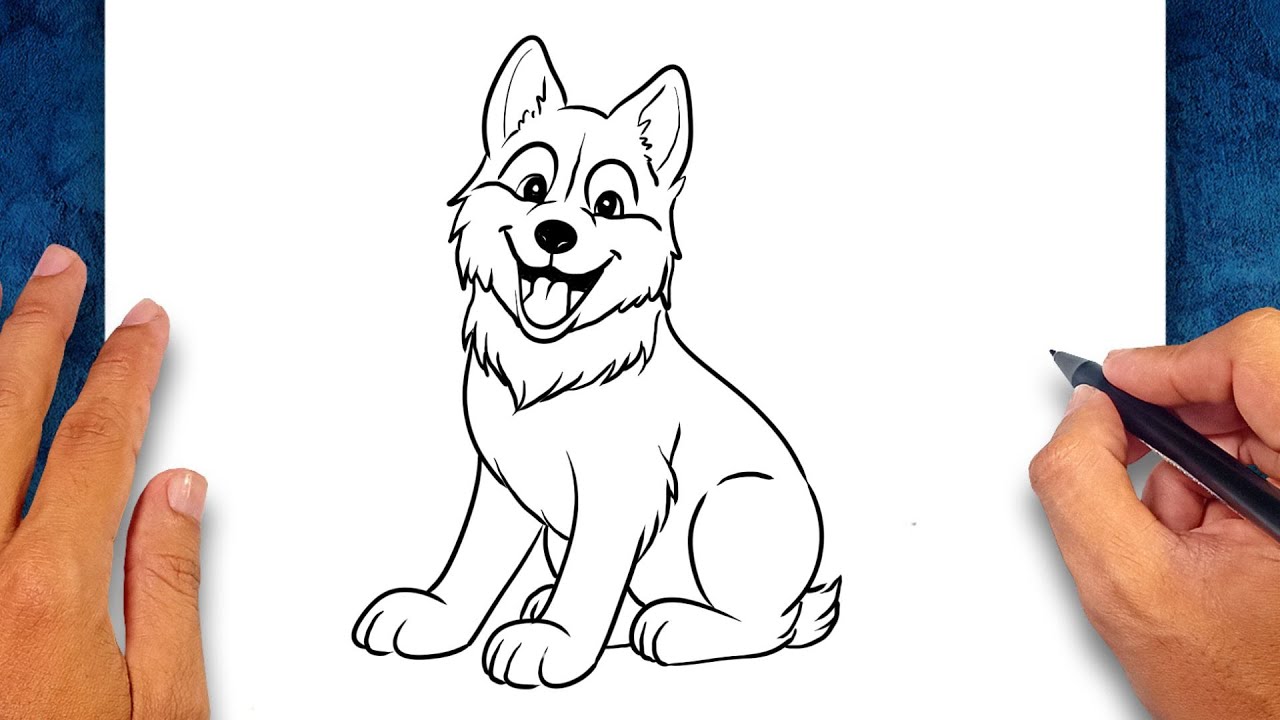 How to draw Akita Dog Easy - YouTube