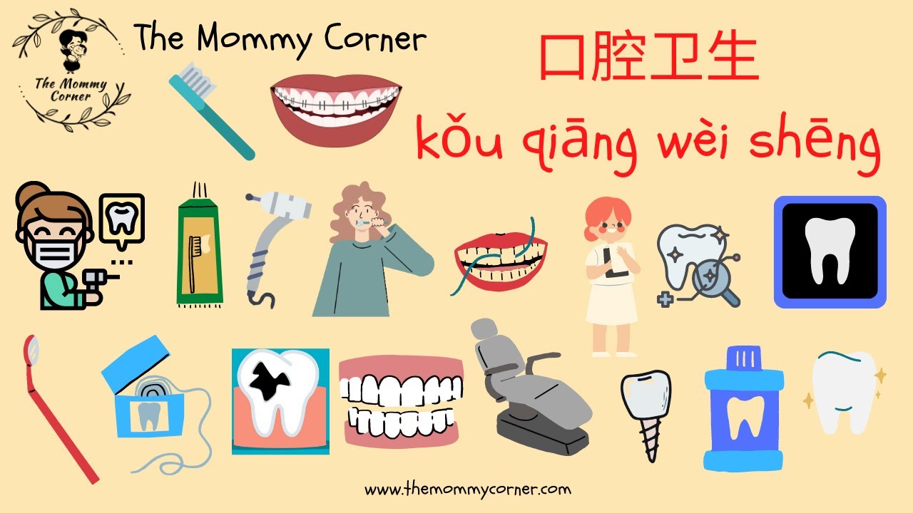 Learn Chinese for Kids | Dental Health Talking Flashcards in Mandarin ...