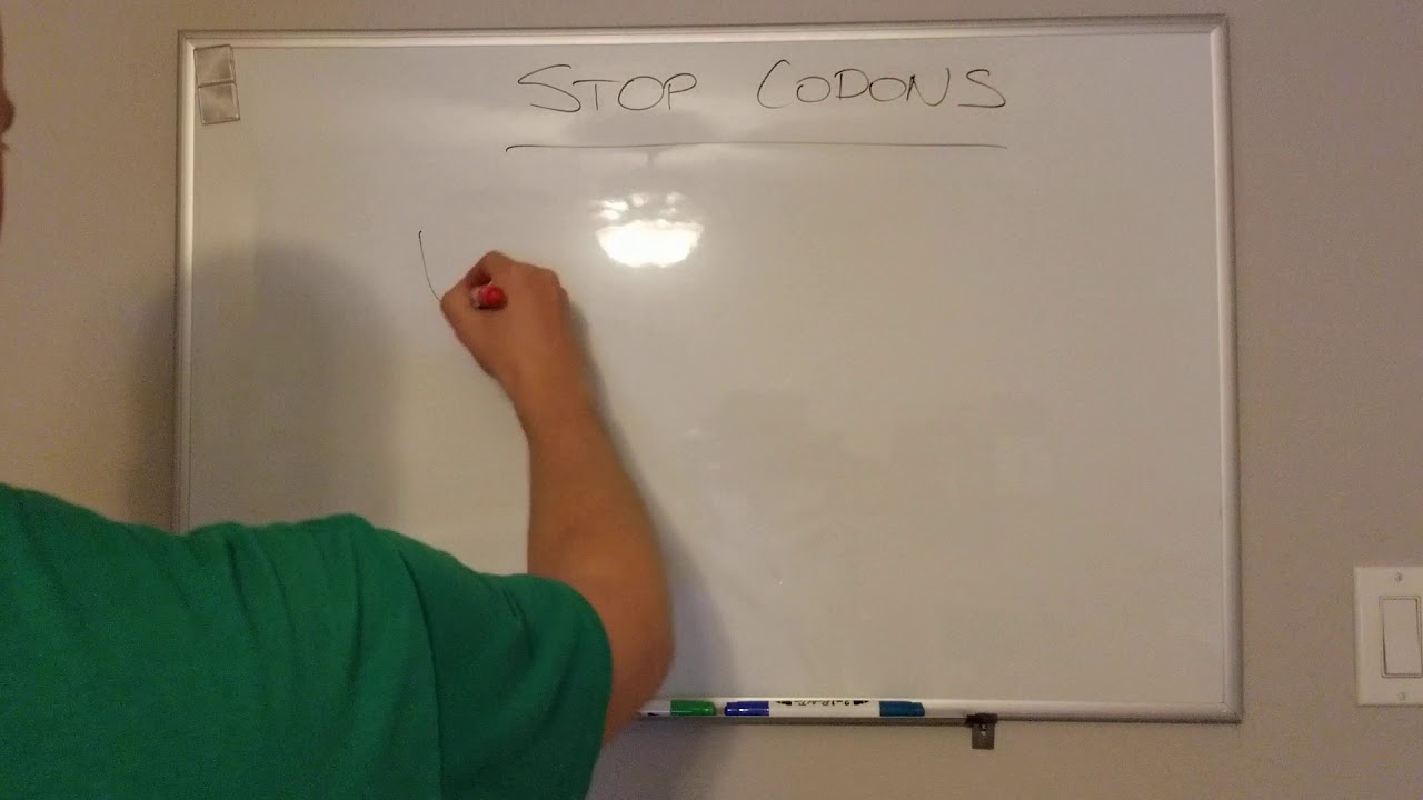 Mnemonic for mRNA Stop Codons - YouTube