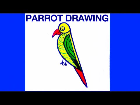 How to draw colourful parrot 🦜|| तोता कैसे बनाएं || #howtodraw - YouTube