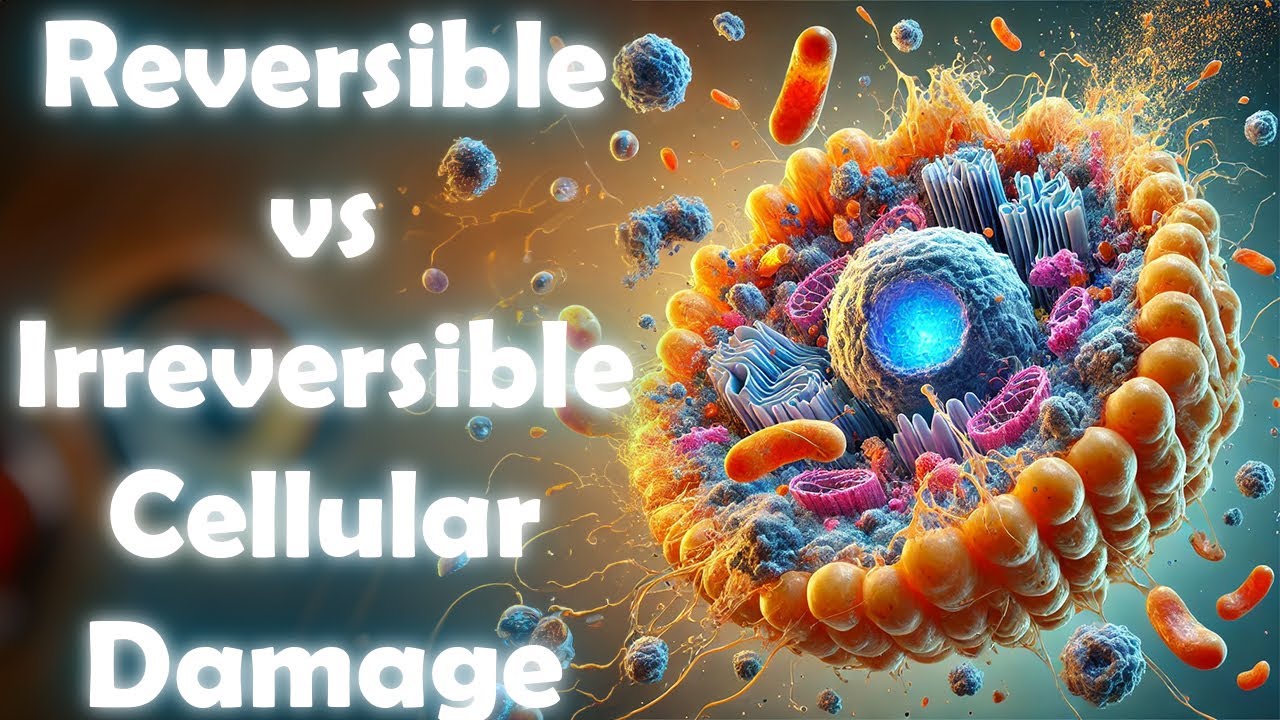 🧫 Reversible vs. Irreversible Injury: Pathology/Pathophysiology USMLE High Yield Made Easy - YouTube
