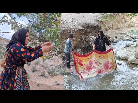 Rural Life: River Laundry & Harvesting Delicious Fruits