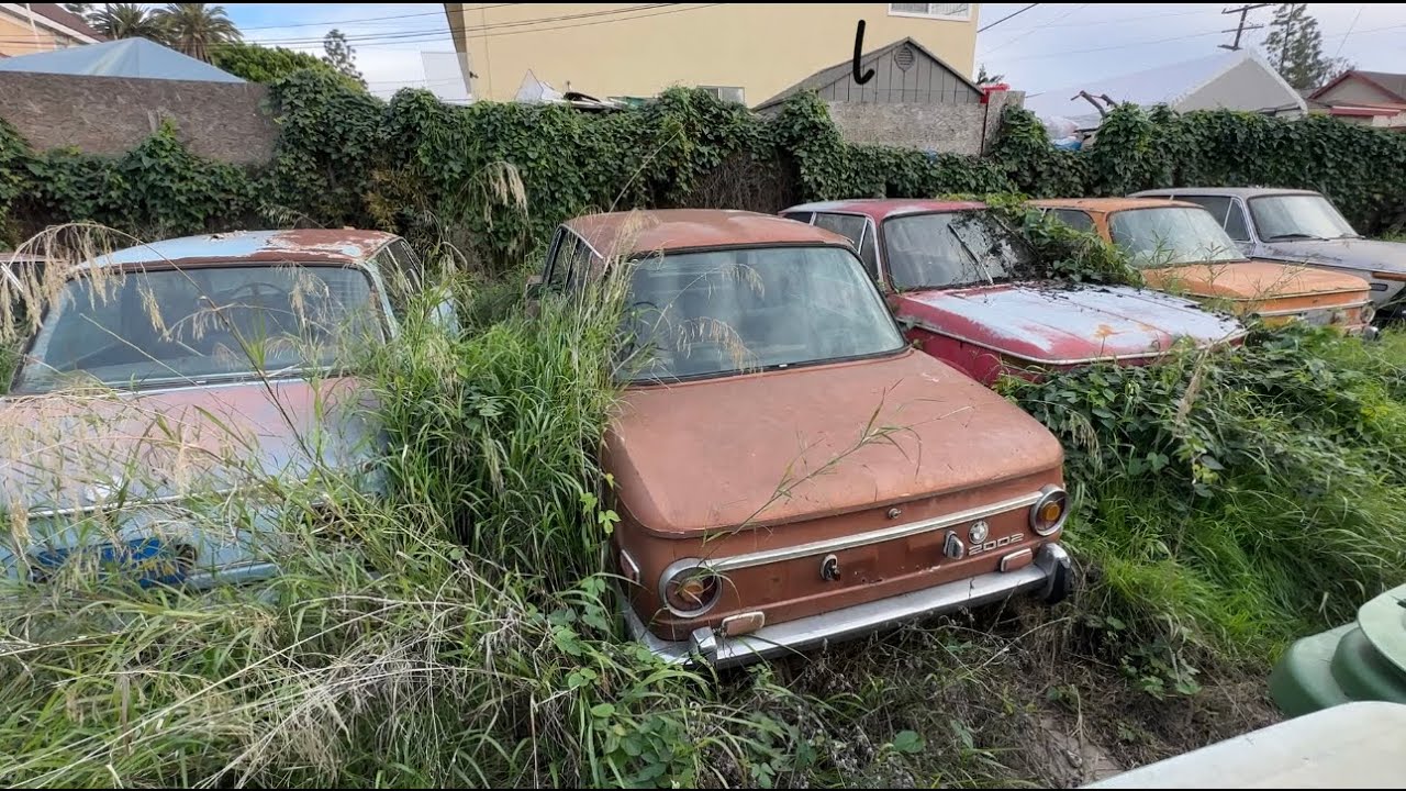 BMW E30/M10 Collection(E30) - YouTube