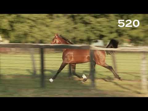 Hip # 520 - Deadline Hall - YouTube